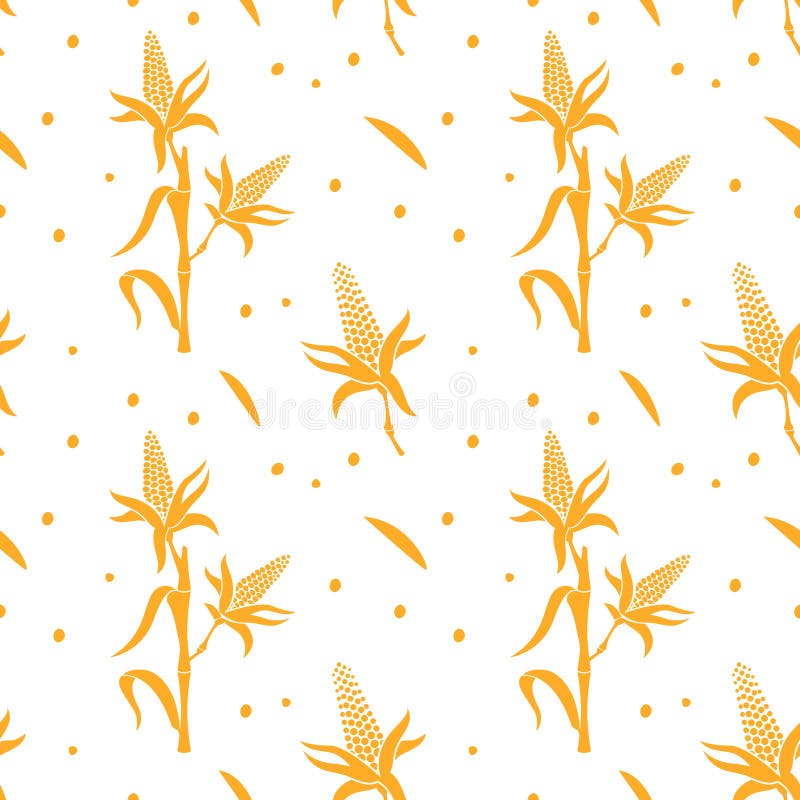Seamless Pattern with Corn. Design Template for Wrapping Paper or ...
