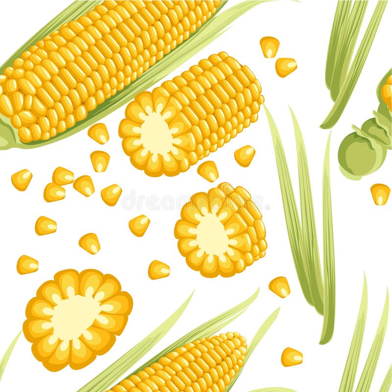 Seamless Pattern. Corn with Leaves. Corn Cob with Separated Seeds Stock ...