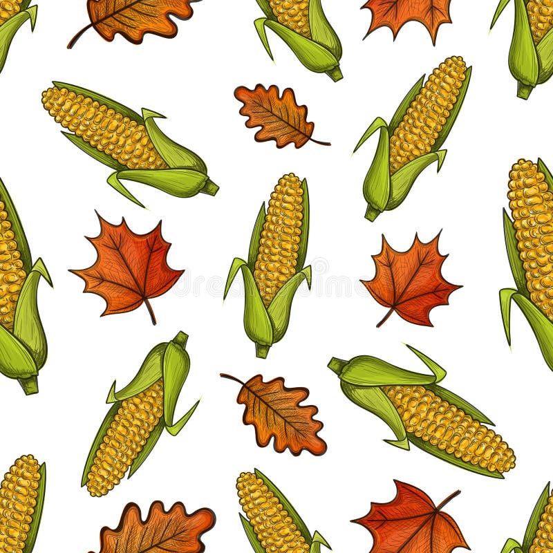 Corn And Leaves. Design Elements. Icon Set. Stock Vector - Illustration ...