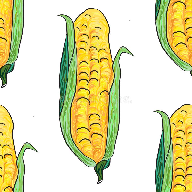 Seamless pattern with corn stock vector. Illustration of leaf - 69984789