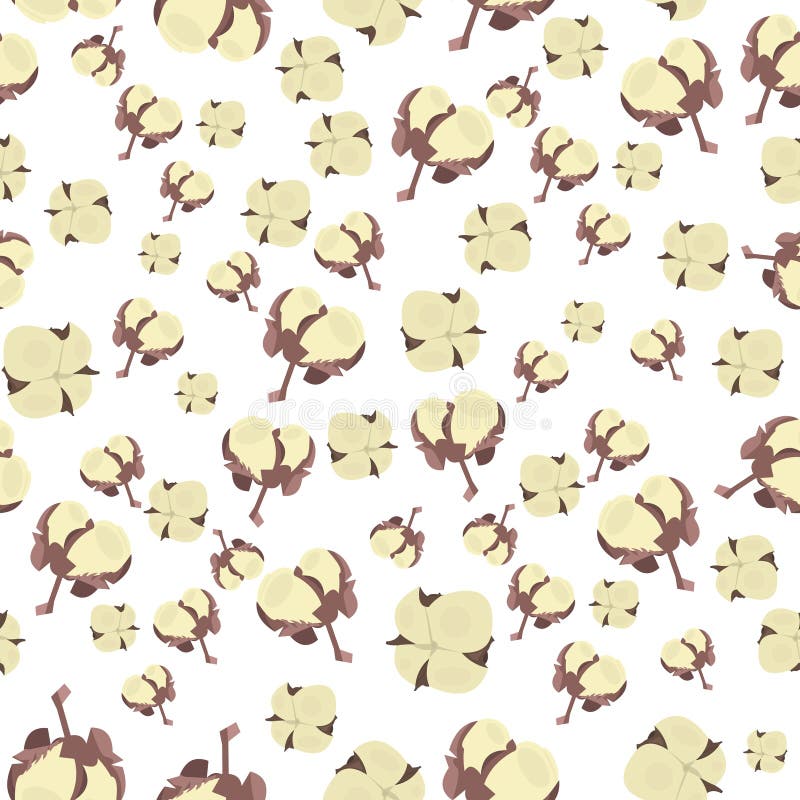 Seamless Pattern with Cotton Flower on a White Background, Flowers ...