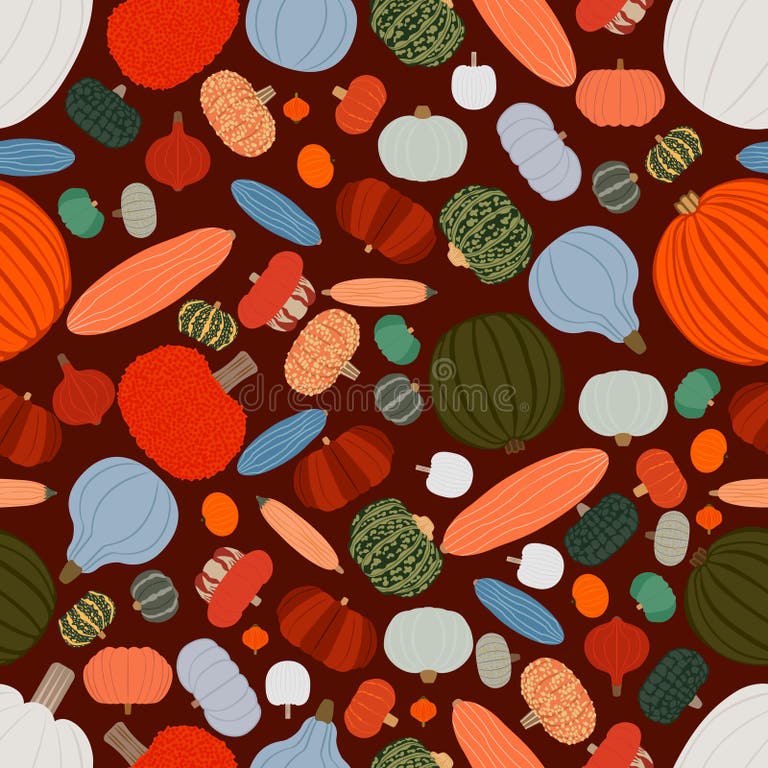 Seamless Pattern. Cucurbita Maxima. Flat Style. Stock Illustration ...