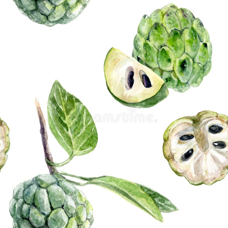 Seamless Pattern with Custard Apple Fruit and Leaves, Perfect for ...