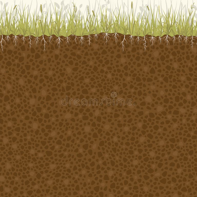 Grass Roots Stock Illustrations – 11,887 Grass Roots Stock ...