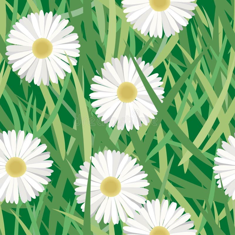 Seamless Pattern of Daisies and Leaves. Vector Illustration Stock ...