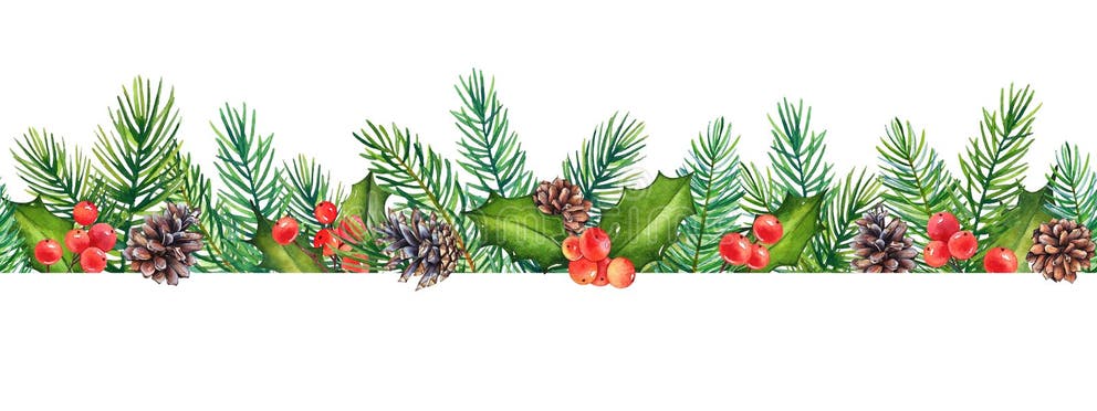 Pine Tree Cones Stock Illustrations 18917 Pine Tree Cones Stock