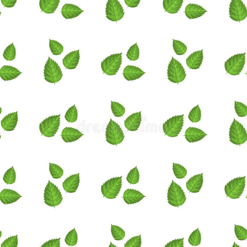 Seamless Pattern with Decorative Green Raspberry Leaves on White ...