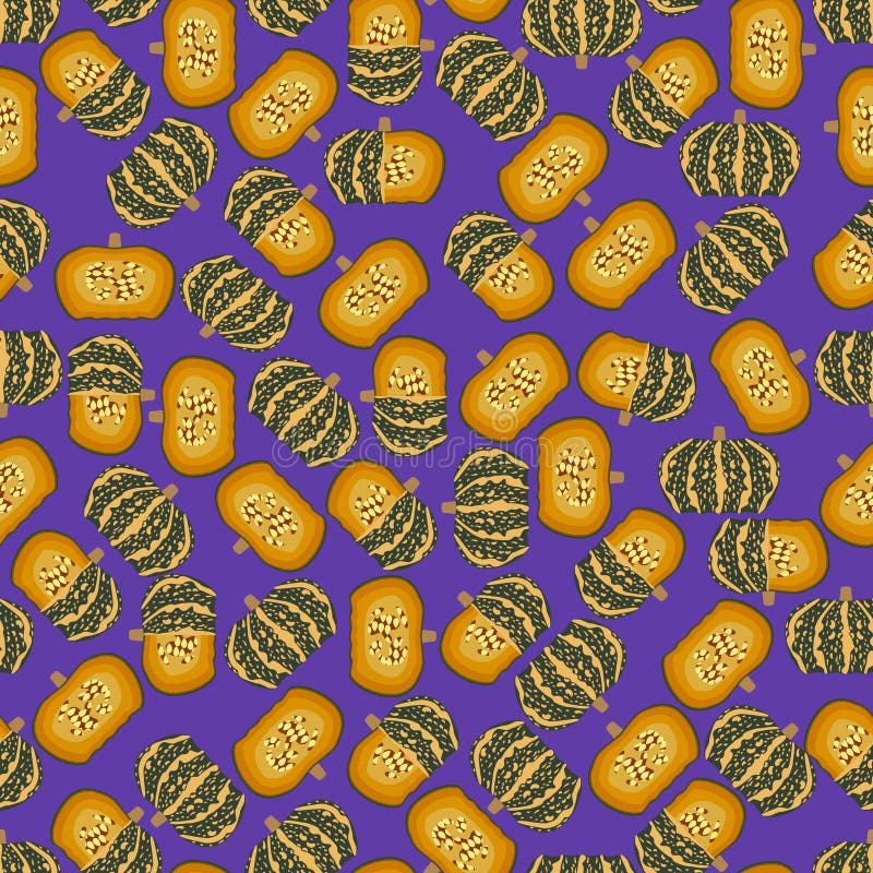 Seamless Pattern Delica Winter Squash Flat Design Stock Vector ...