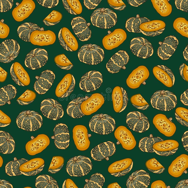 Seamless Pattern with Delica Winter Squash Stock Vector - Illustration ...