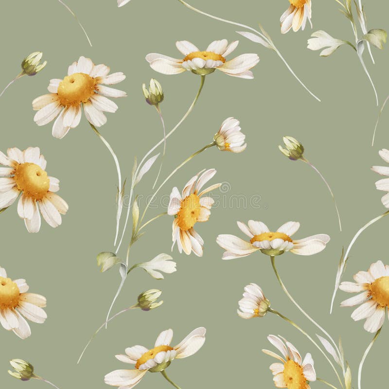 Seamless Pattern with Delicate Daisies on a Green Background Stock ...