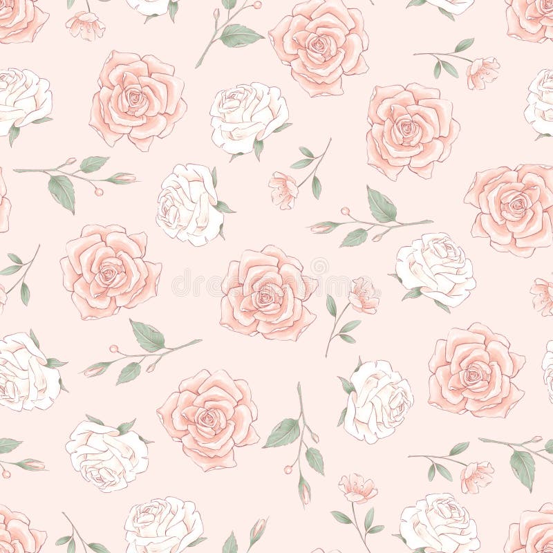 Seamless Pattern of Delicate Roses. Hand Drawing Stock Illustration ...