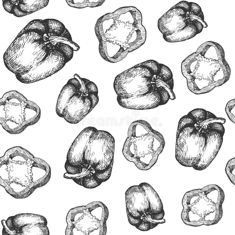 Seamless Pattern Design or Background with Capsicum or Bell Pepper ...