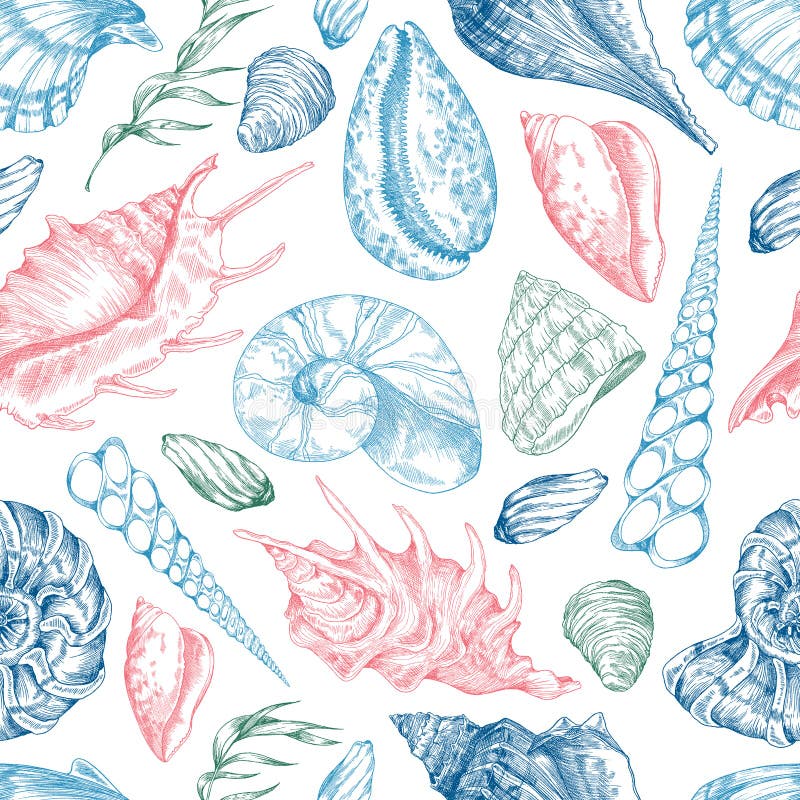 Seamless Pattern Design with Vintage Hand Drawn Sea Shells Vector ...