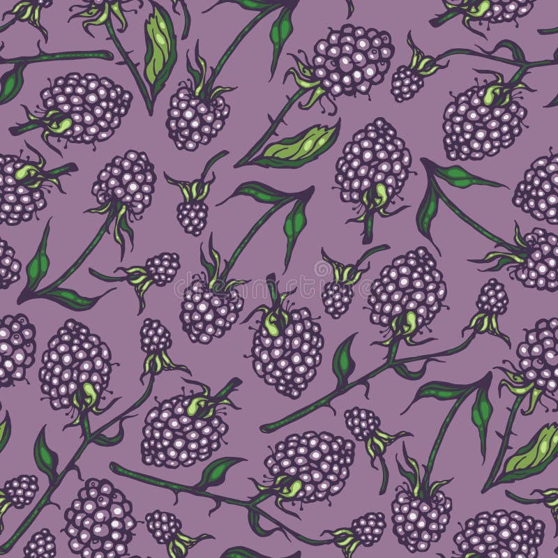 Seamless Pattern with Dewberry. Background Stock Vector - Illustration ...