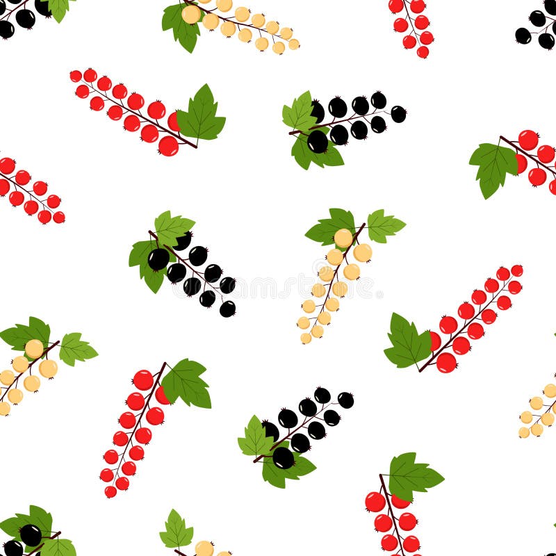 Cartoon Currants Stock Illustrations – 620 Cartoon Currants Stock ...
