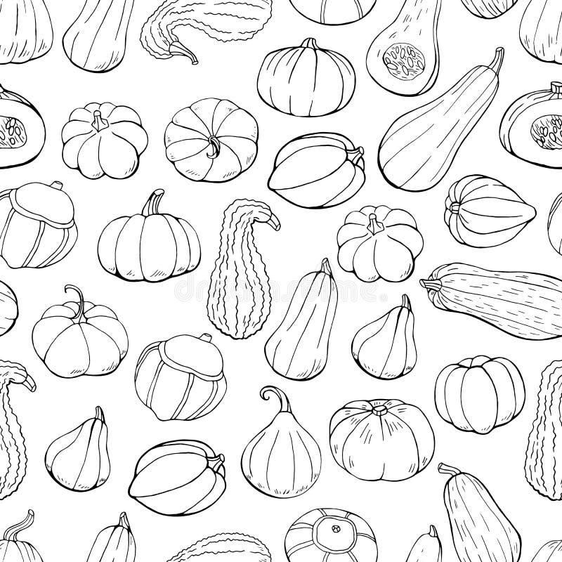 Seamless Pattern with Hand Drawn Butternut Squash Stock Vector ...
