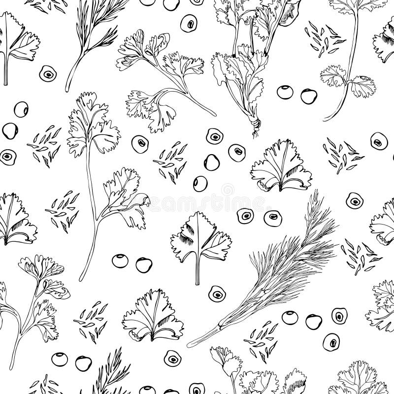 Seamless Pattern of Different Herbs and Spices. Hand Drawn Ink Sketch ...