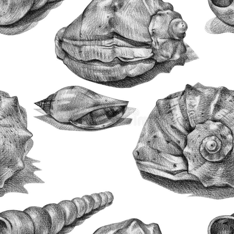 Seamless Pattern with Different Seashells Drawn by Hand Stock ...