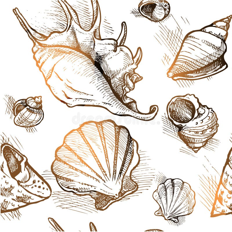 Seamless Pattern from of Different Shapes Shell Sketches 1 Stock Vector ...