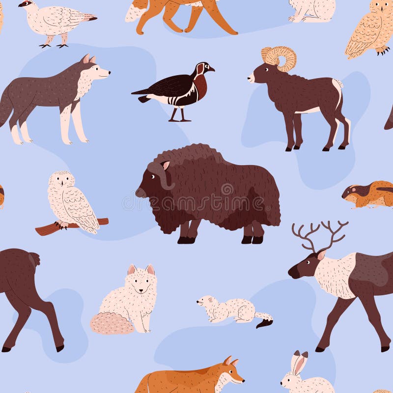 Seamless Pattern with Different Tundra Animals Flat Style, Vector ...