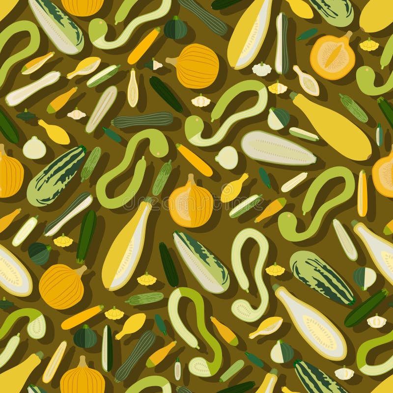 Pattern with Types of of Summer Squash. Flat Style Stock Vector ...
