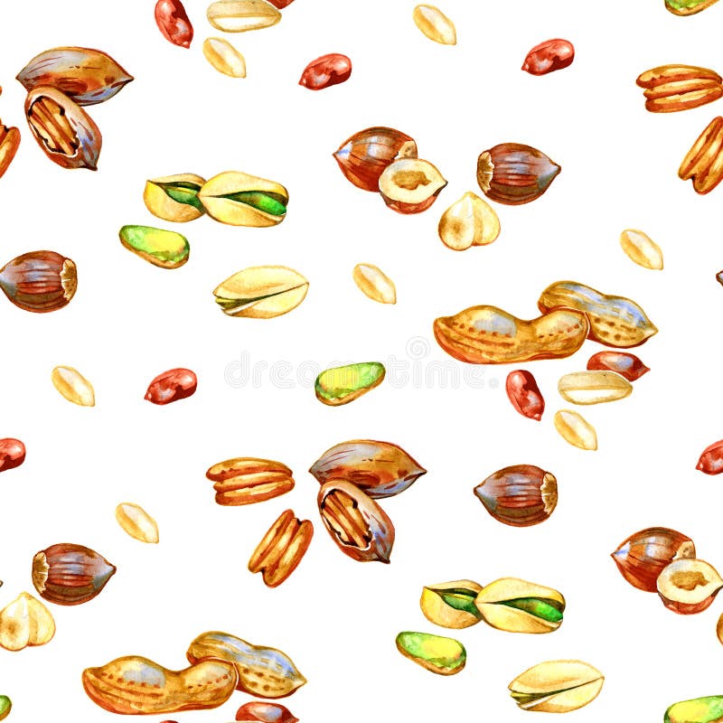 Seamless Pattern with Different Watercolor Nuts Stock Illustration ...