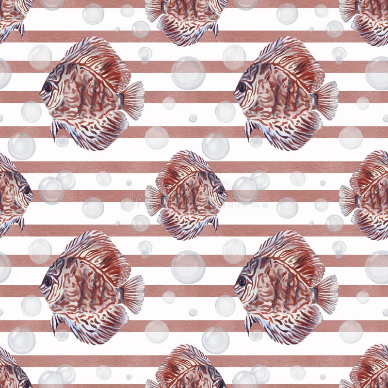 Seamless Pattern with Discus Fish. Red Stock Photo - Image of tropical ...