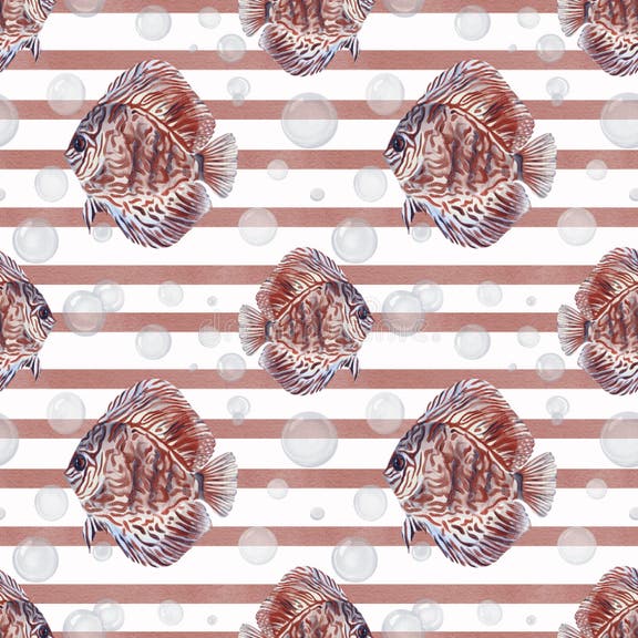Seamless Pattern with Discus Fish. Red Stock Photo - Image of tropical ...
