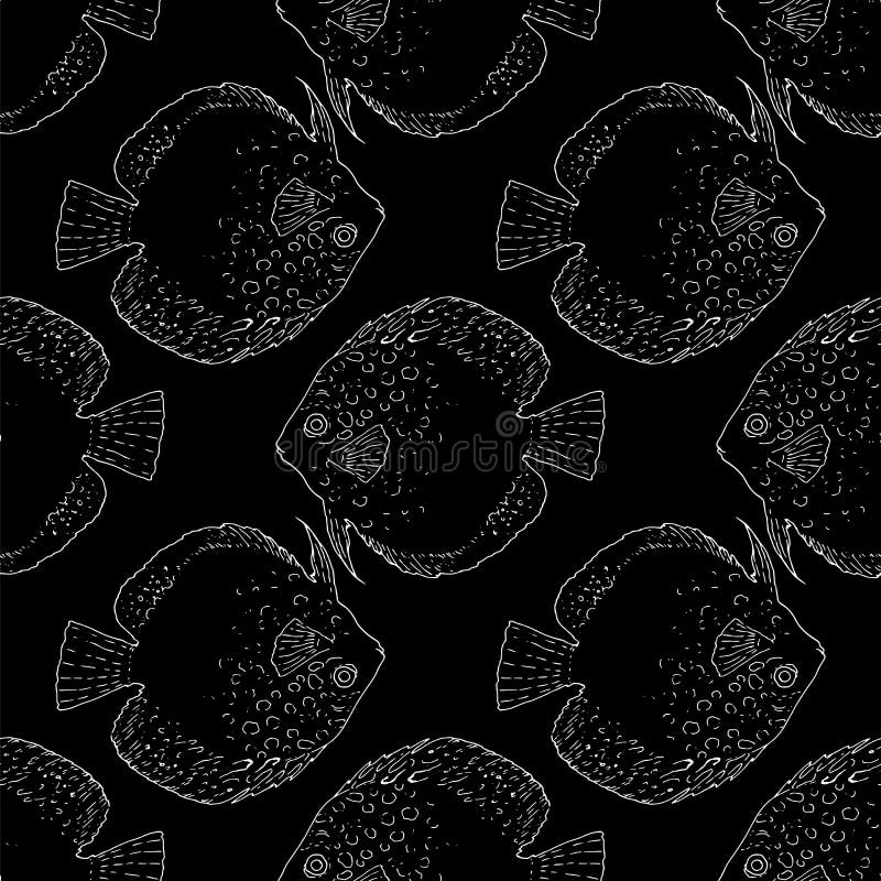Seamless Pattern of DISCUS Fish. Vector Drawing of a Sea Fish, Drawn in ...