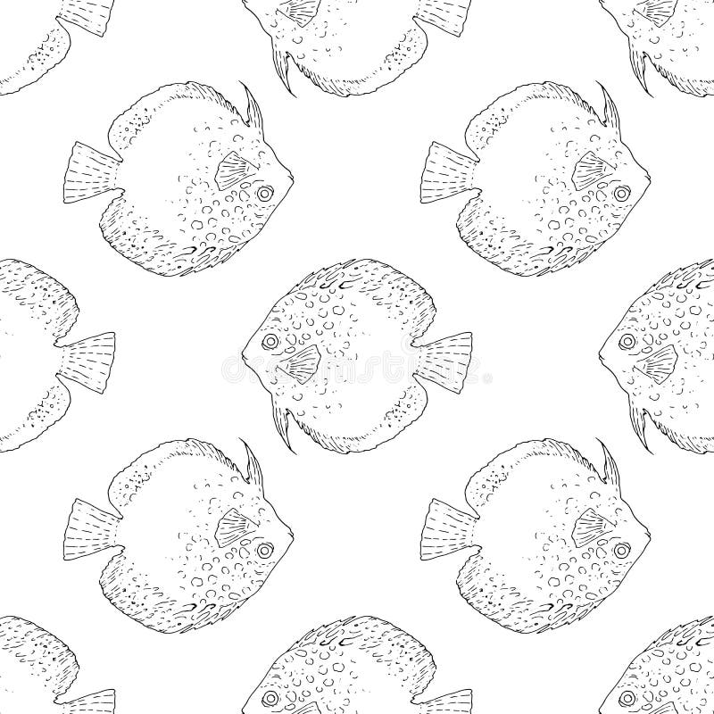 Seamless Pattern of DISCUS Fish. Vector Pattern of a Sea Fish Drawn in ...