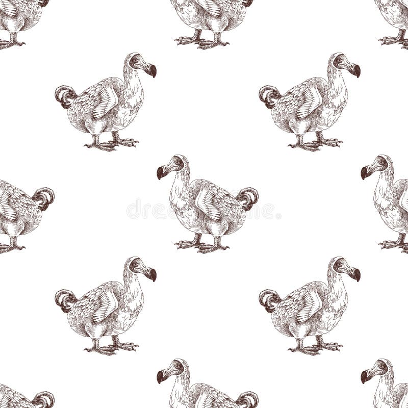 Seamless Pattern with Dodo Extinct Birds Stock Vector - Illustration of ...