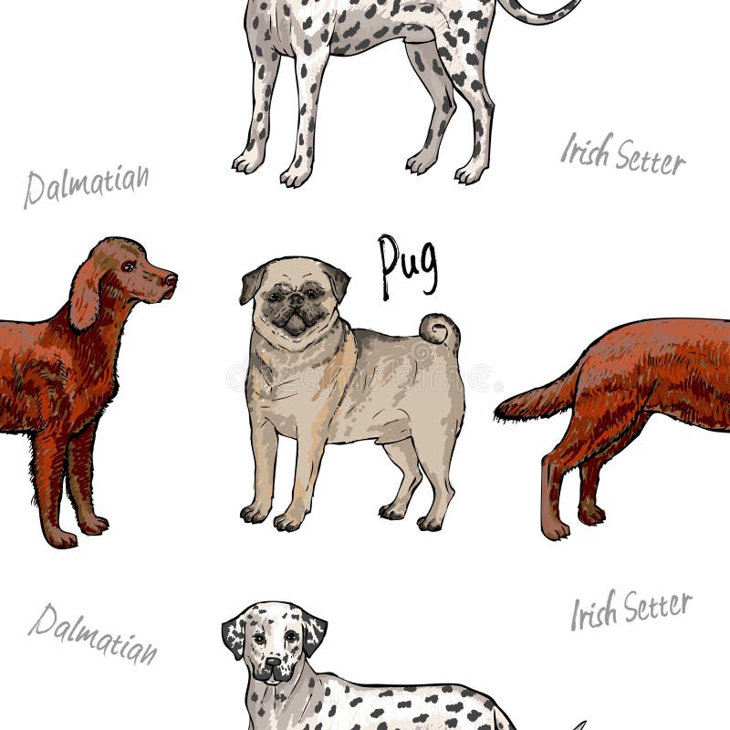 Seamless pattern with dogs stock vector. Illustration of happy - 112273500