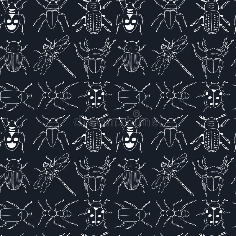 Seamless Pattern Doodle Sketch Bugs and Beetles Stock Vector - Illustration of nature, drawn ...