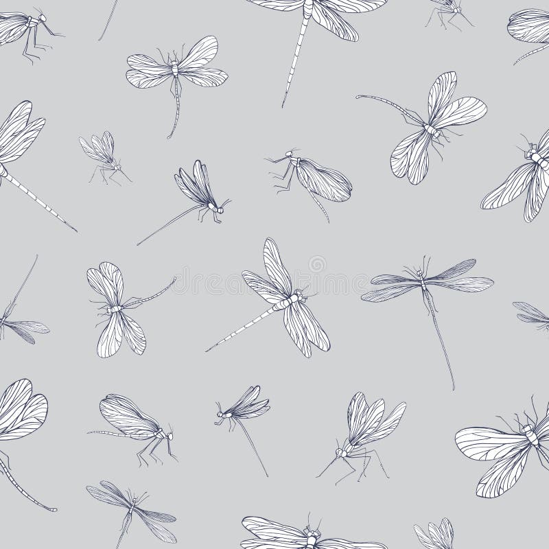Seamless Pattern with Dragonflies Hand Drawn with Contour Lines on Grey ...