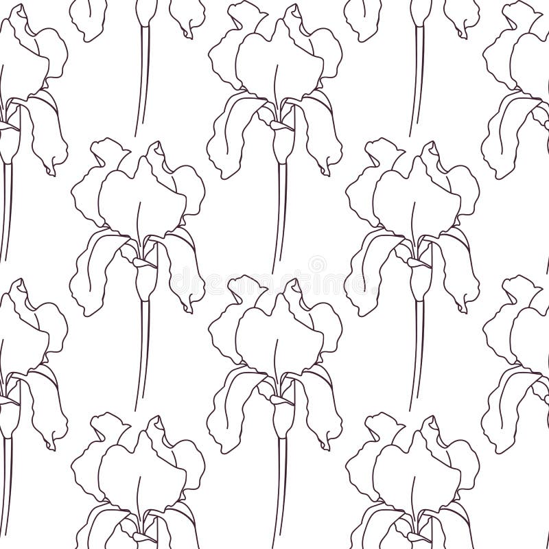 Iris Flower Pen and Ink Drawing Stock Illustration - Illustration of ...