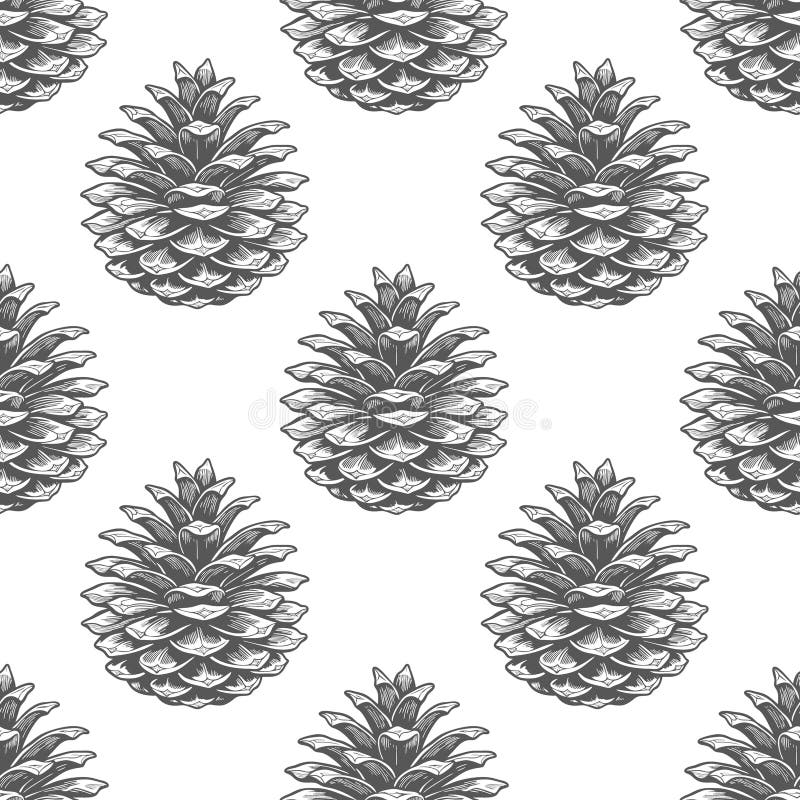 Seamless Pattern, Drawn Pine Cones on a White Background. Silhouettes ...
