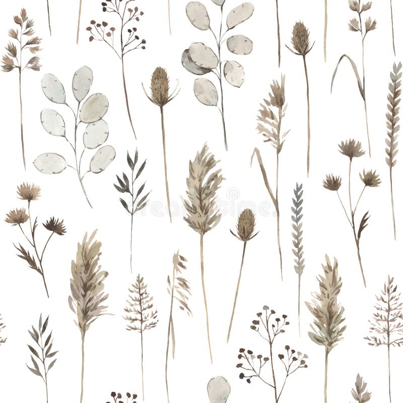 Seamless Pattern with Dry Plants. Watercolor Realistic Hand-drawn Print ...