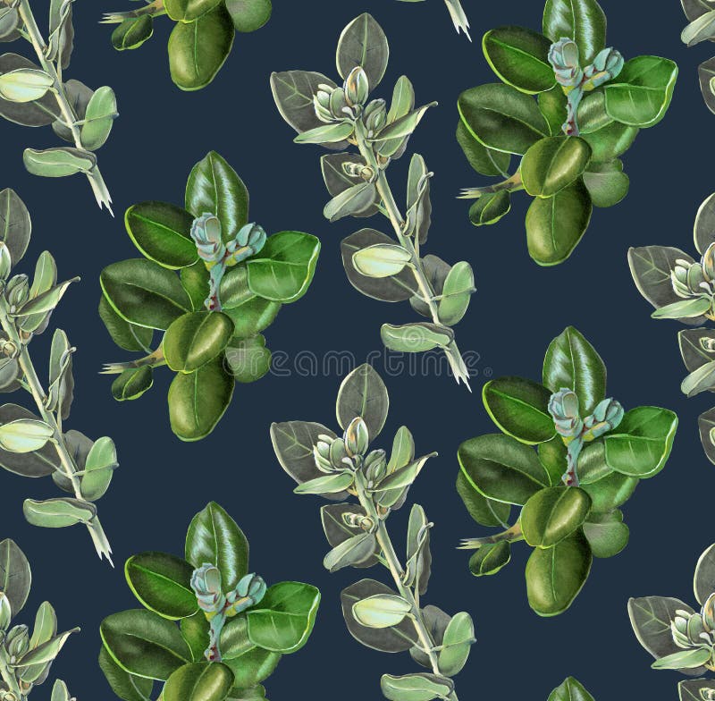 Seamless Pattern with Eucalyptus Branches Stock Photo - Image of flora ...