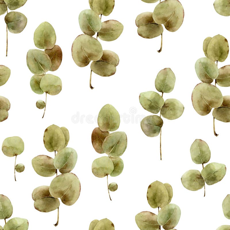 Seamless Pattern with Eucalyptus Leave Stock Illustration ...