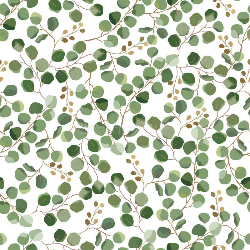 Seamless Pattern with Eucalyptus Leaves. Floral Background with Silver ...