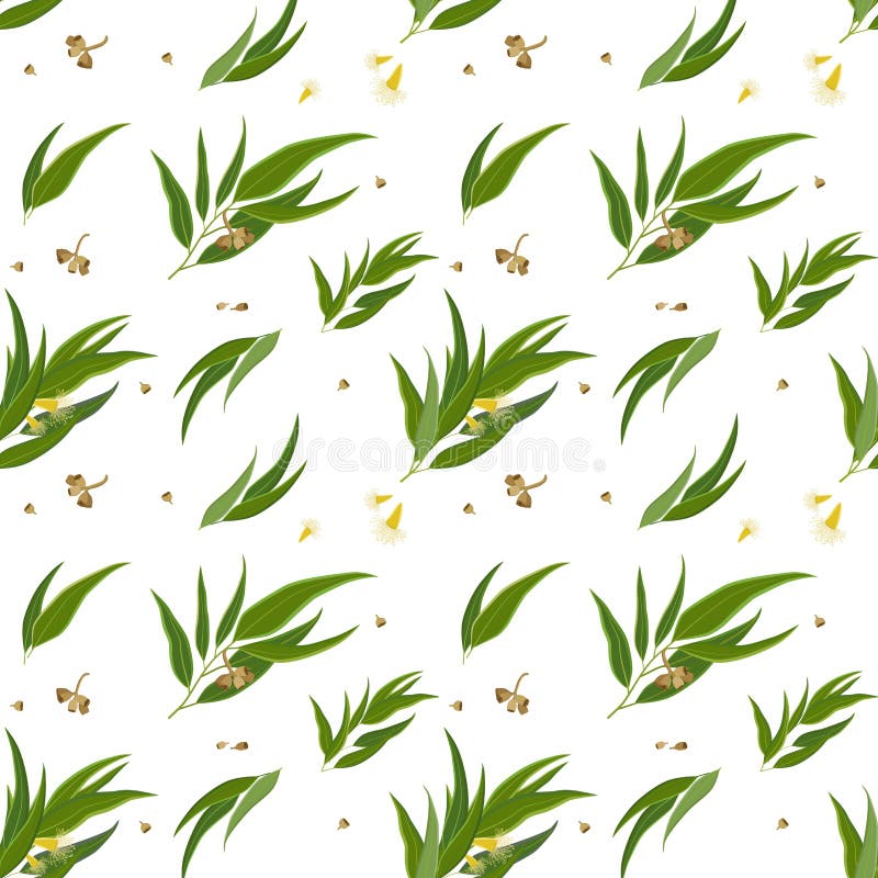 Australian Eucalyptus Stock Illustrations – 4,063 Australian Eucalyptus ...