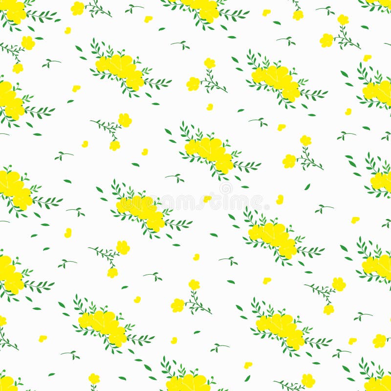 Evening Primrose Stock Illustrations – 264 Evening Primrose Stock ...