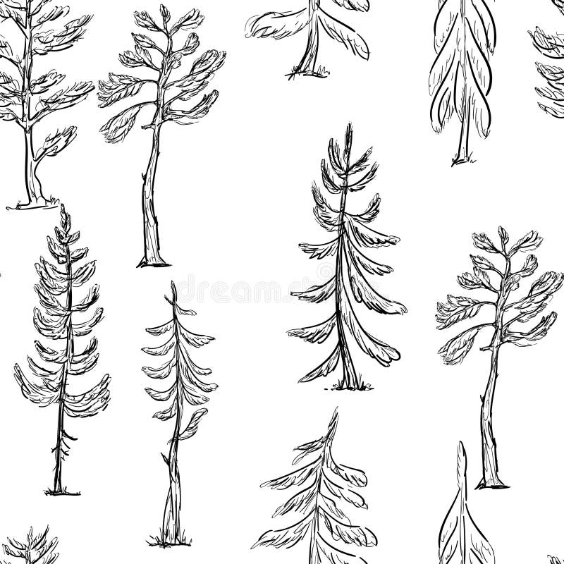 A Seamless Pattern Featuring Outline Sketch Spruce and Pine Trees ...