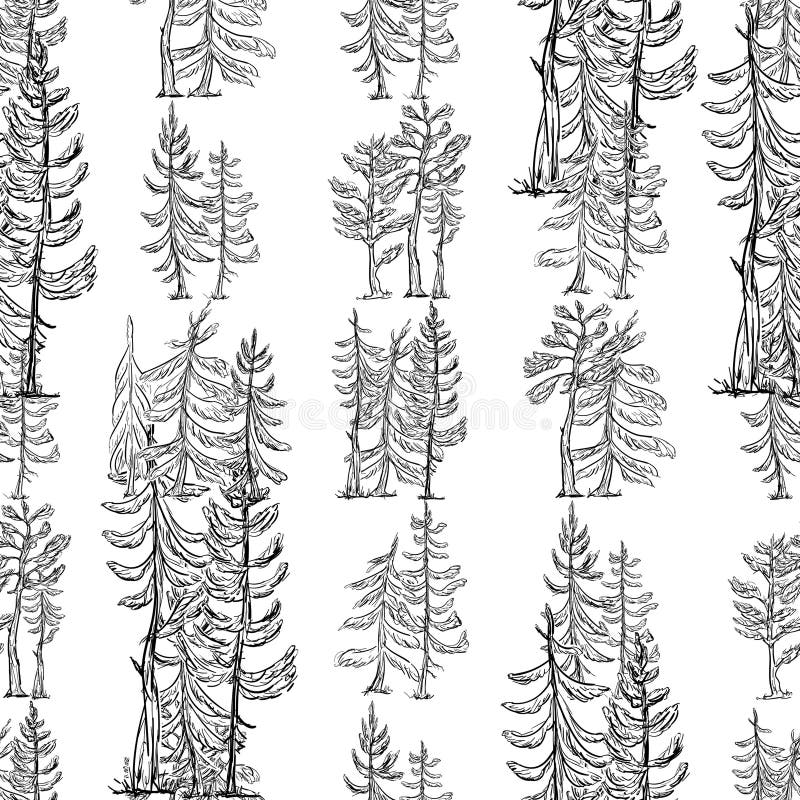 Seamless Spruce Tree Pattern Minimalist Forest Design Stock Photos ...