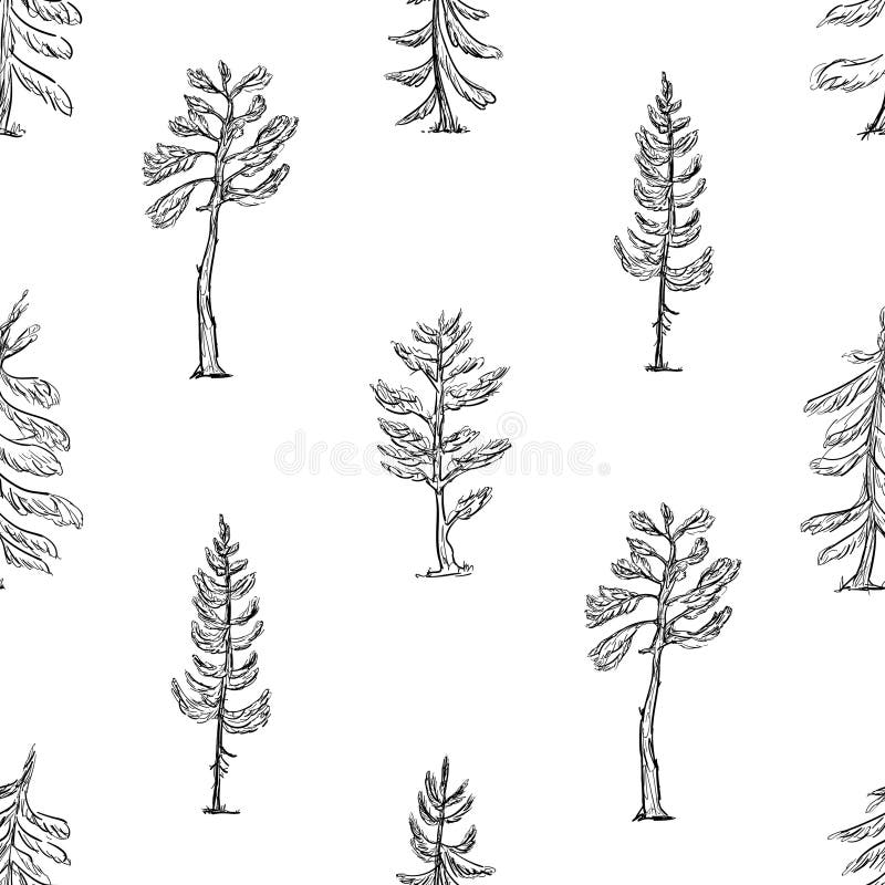 A Seamless Pattern Featuring Spruce and Pine Trees, Black and White ...