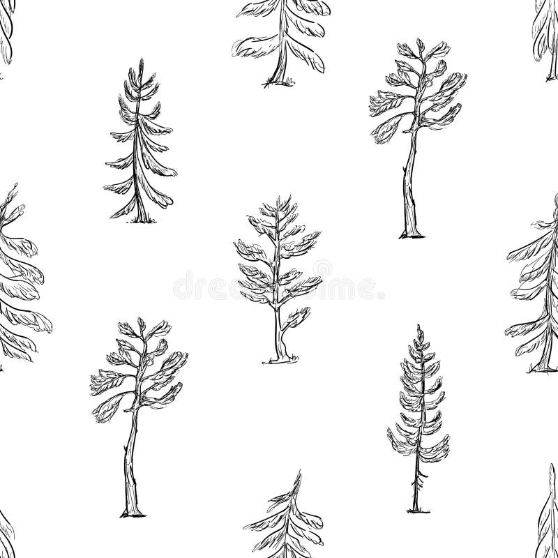 A Seamless Pattern Featuring Spruce and Pine Trees, Black and White ...