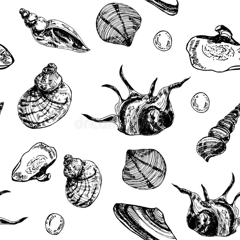A Seamless Pattern Featuring a Variety of Detailed Shell Illustrations ...