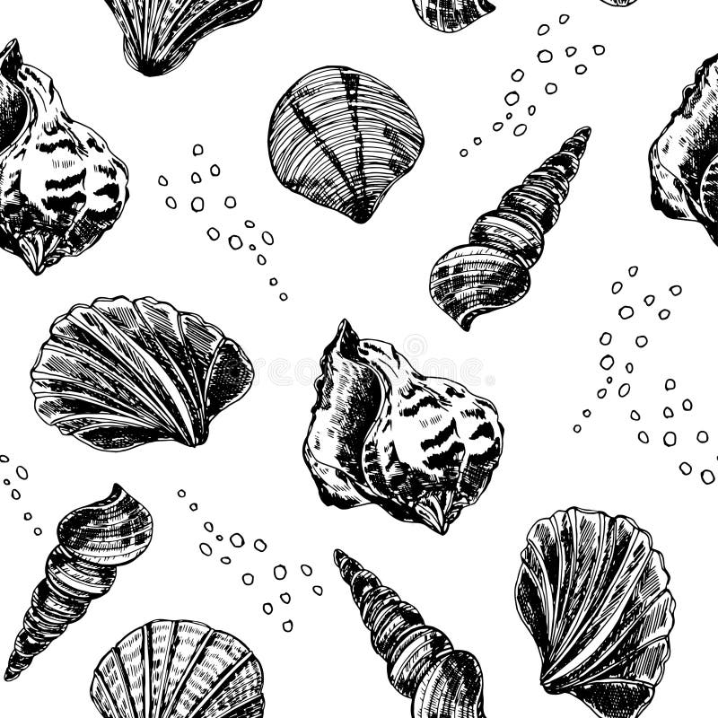 A Seamless Pattern Featuring a Variety of Detailed Shell Illustrations ...