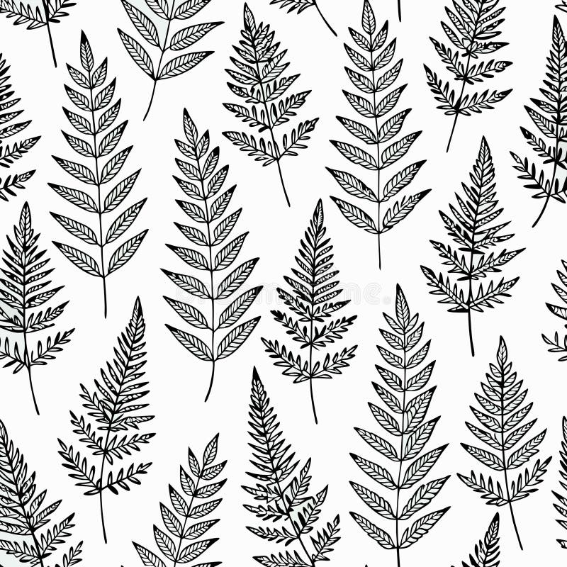 Seamless Pattern of Fern Leaves, Outline Isolated White Background. AI ...
