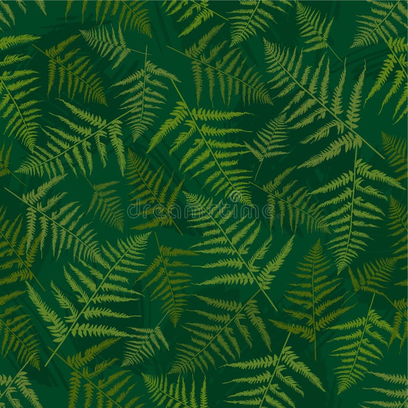 Seamless pattern of fern. stock vector. Illustration of graphic - 56402226